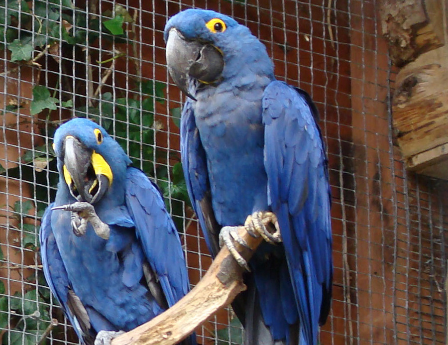 Places to visit - Lizard View Camping